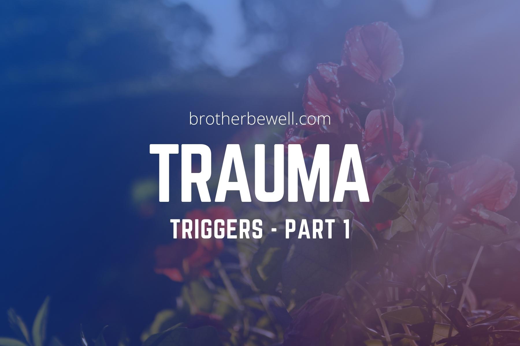 Trauma Triggers - Part 1 - Brother Be Well