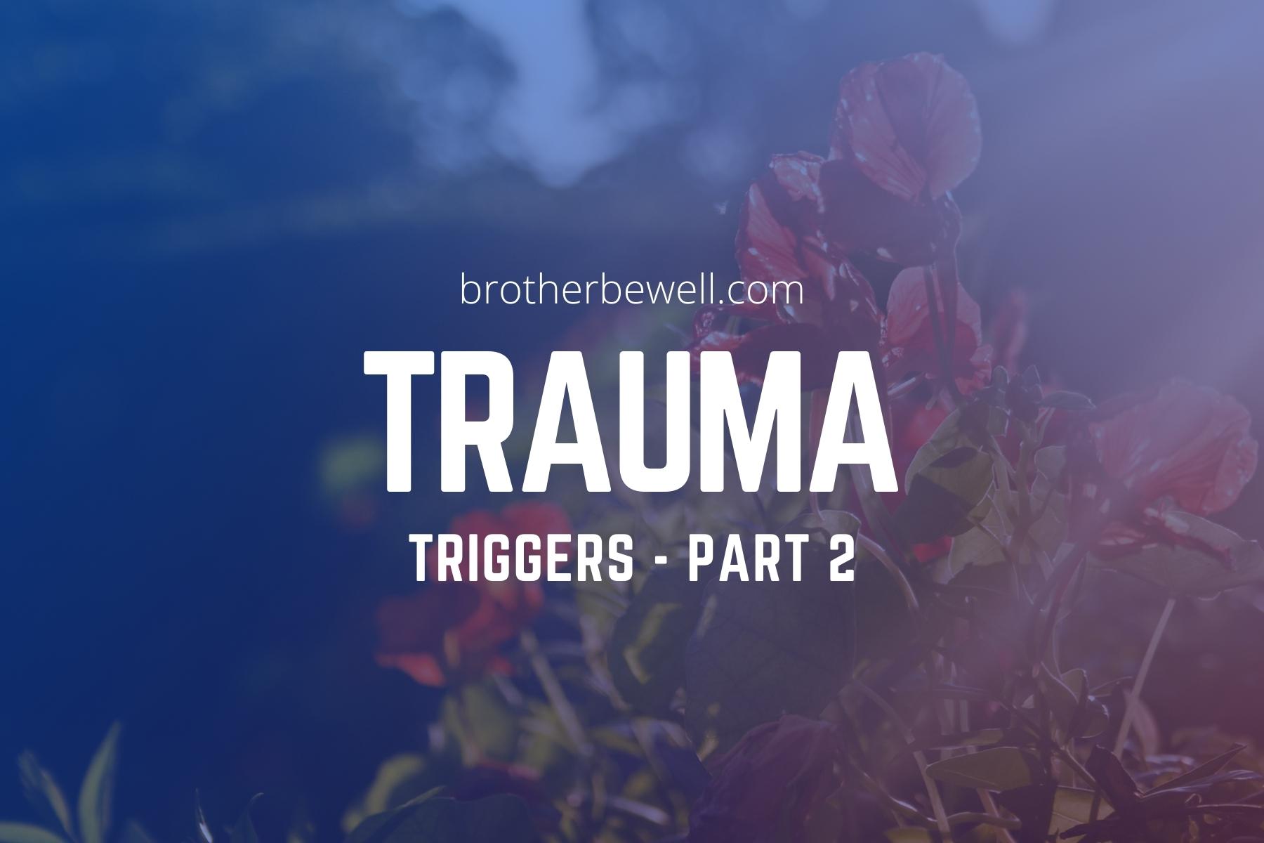 Trauma Triggers - Part 2 - Brother Be Well