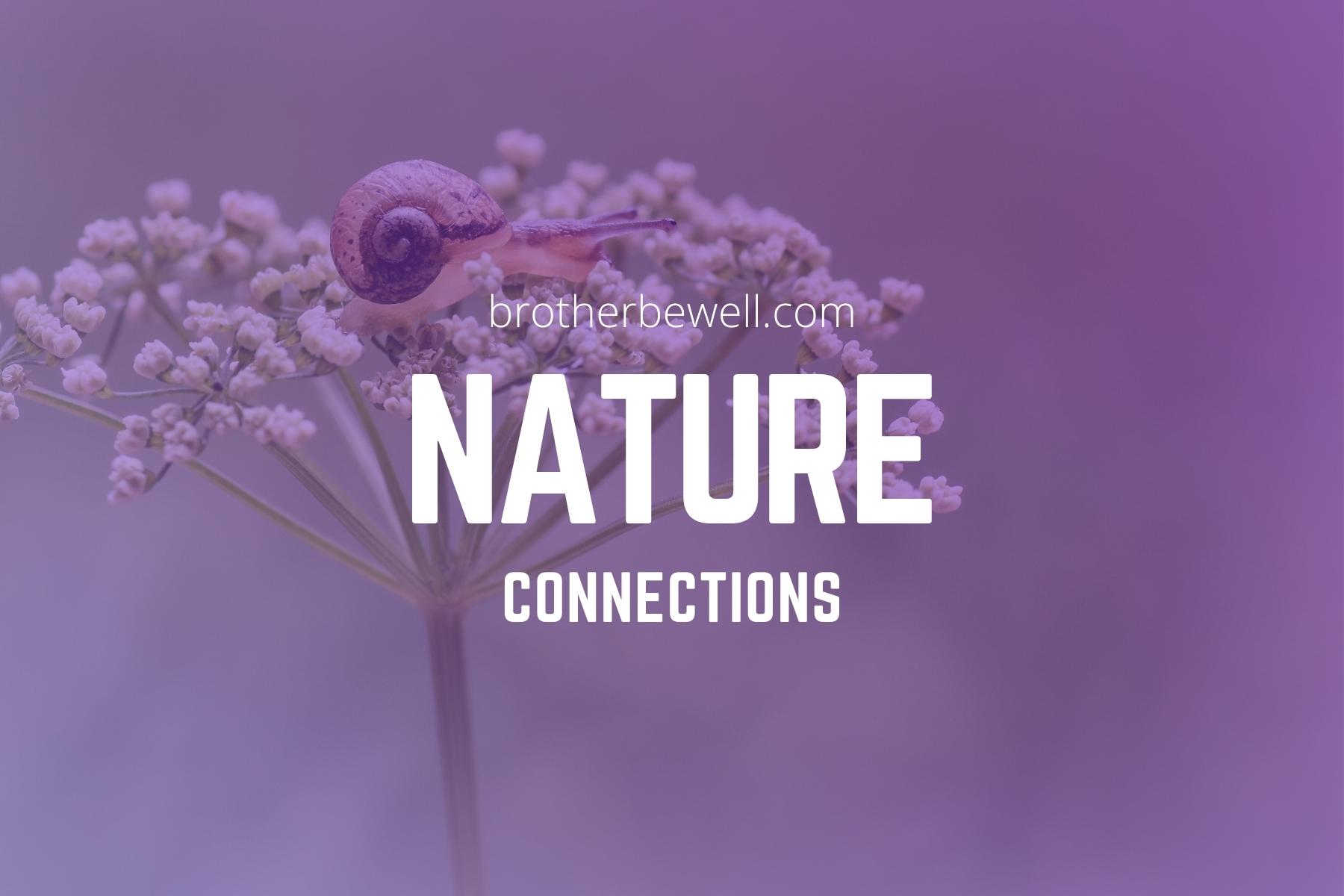 Nature Connections - Brother Be Well