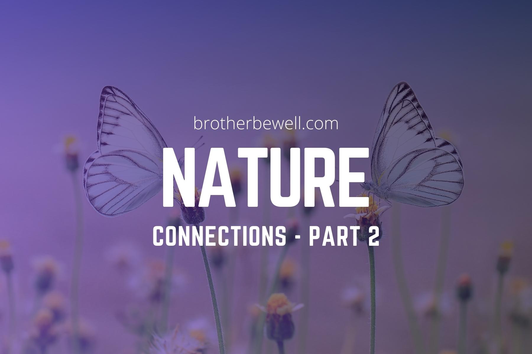 Nature Connections - Part 2 - Brother Be Well