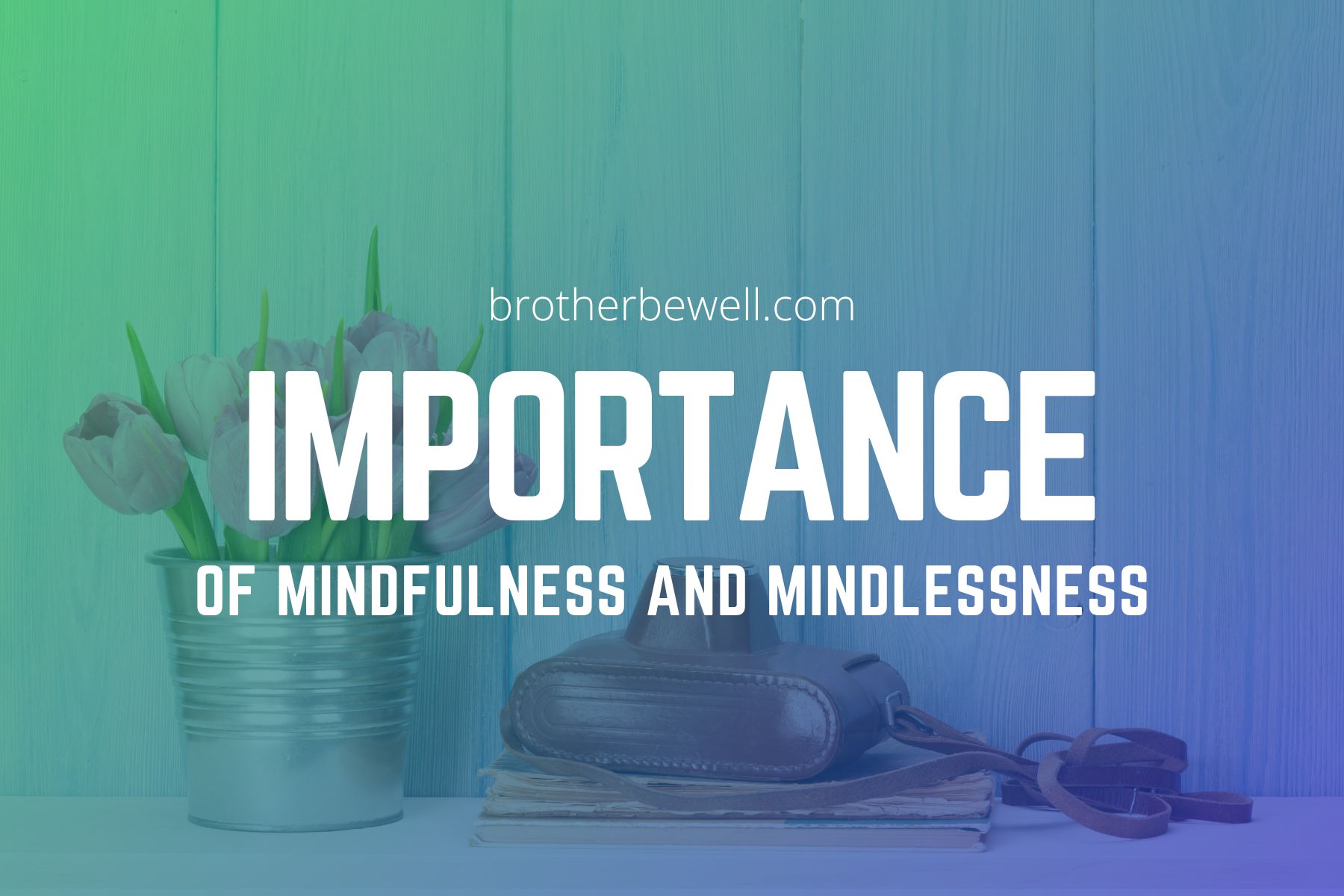 Importance of Mindfulness and Mindlessness - Brother Be Well