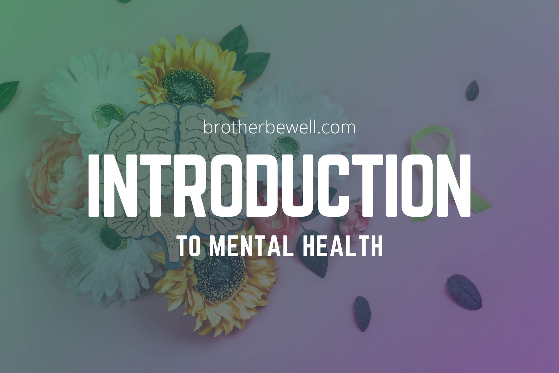 Introduction to Mental Health - Brother Be Well