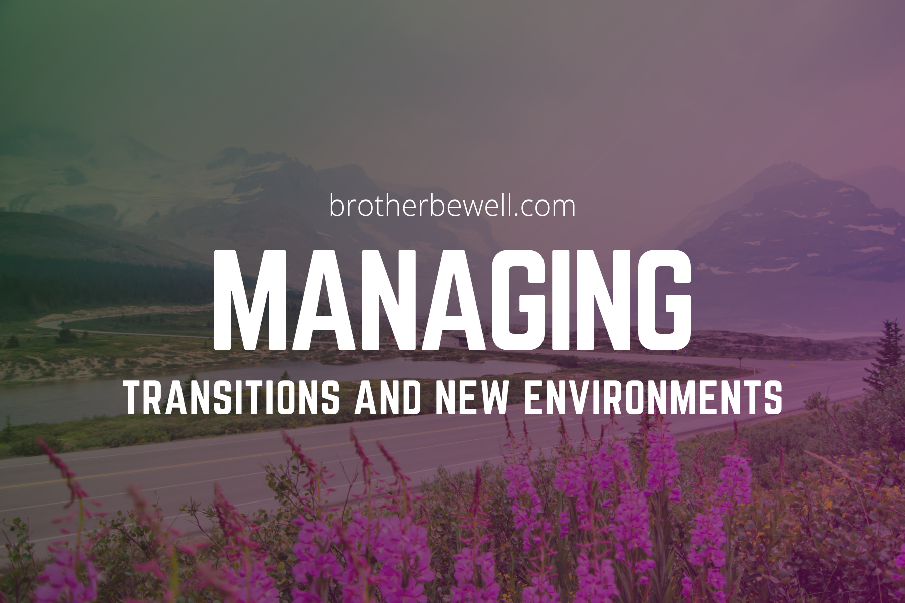 Managing Transitions and New Environments - Brother Be Well